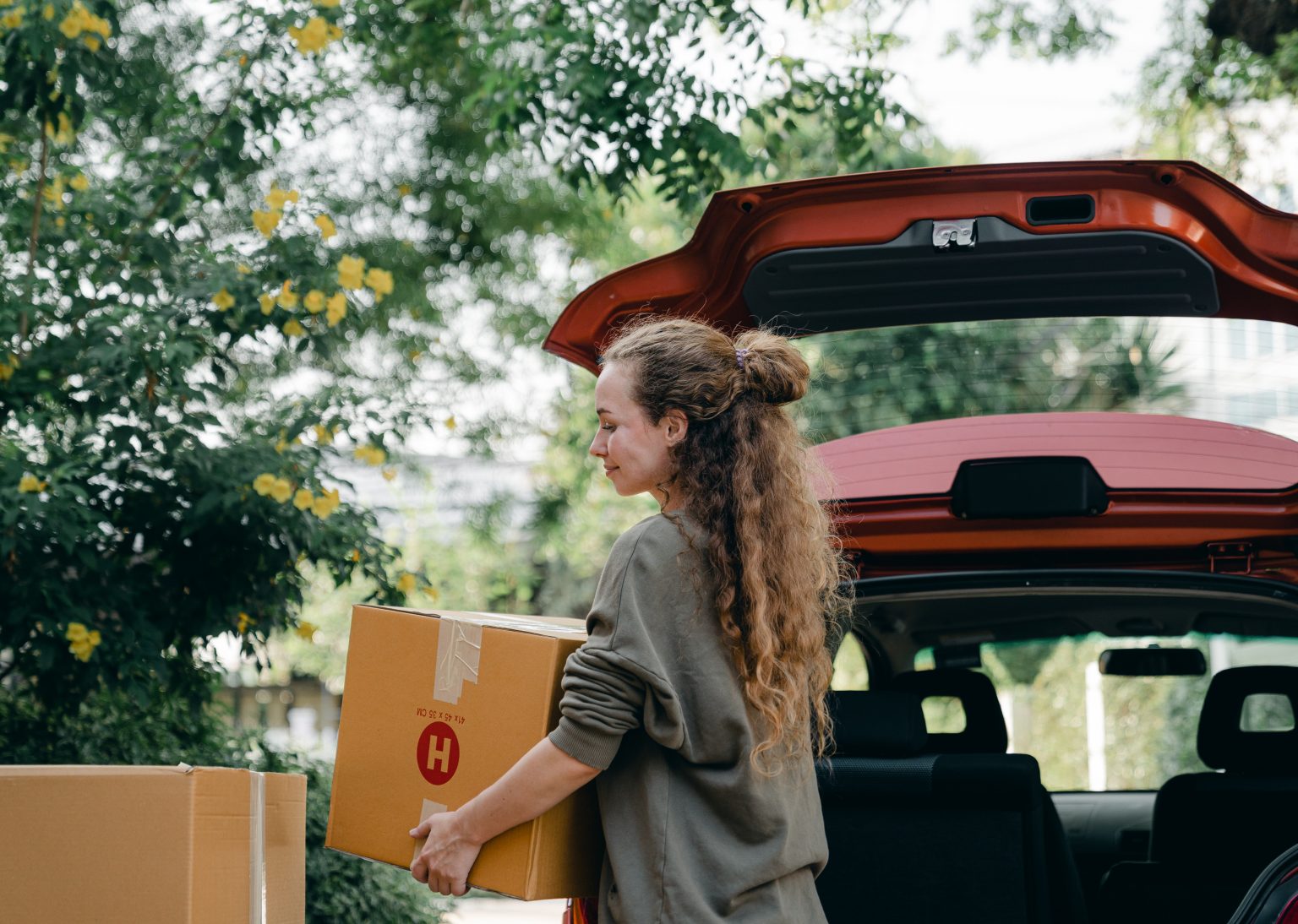 Transitions Counseling: Meaning, Examples and More - F and B Recipes