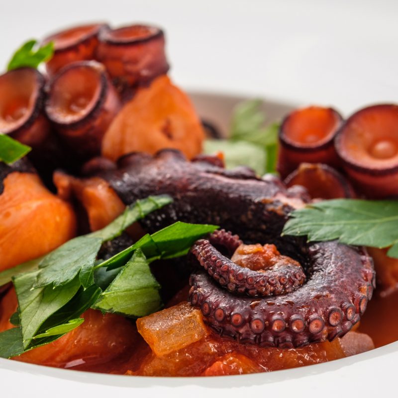 Octopus Stew Recipe, Health Benefits, Nutritional Value and More