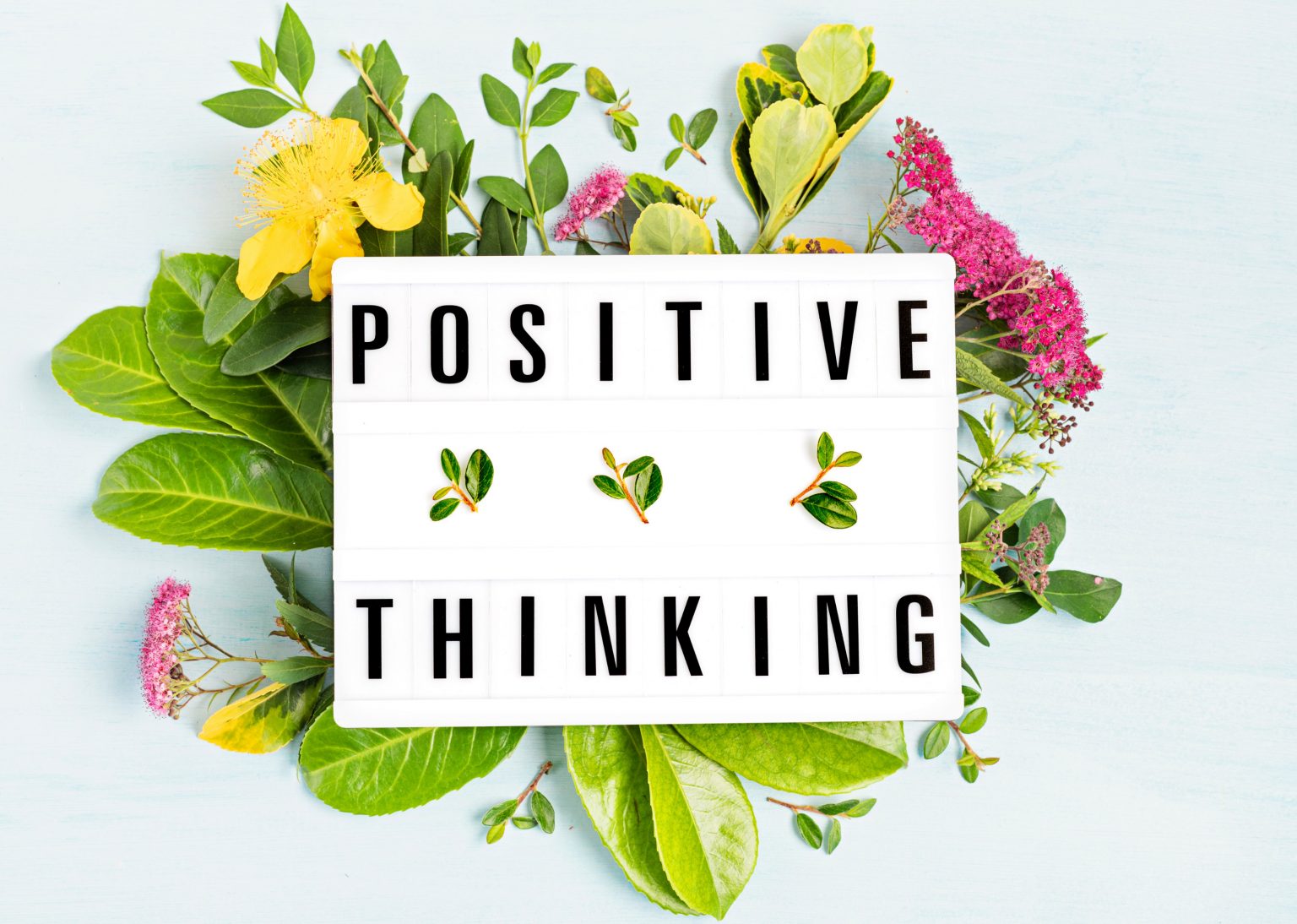 115 Things That Make Me Happy - F and B Recipes